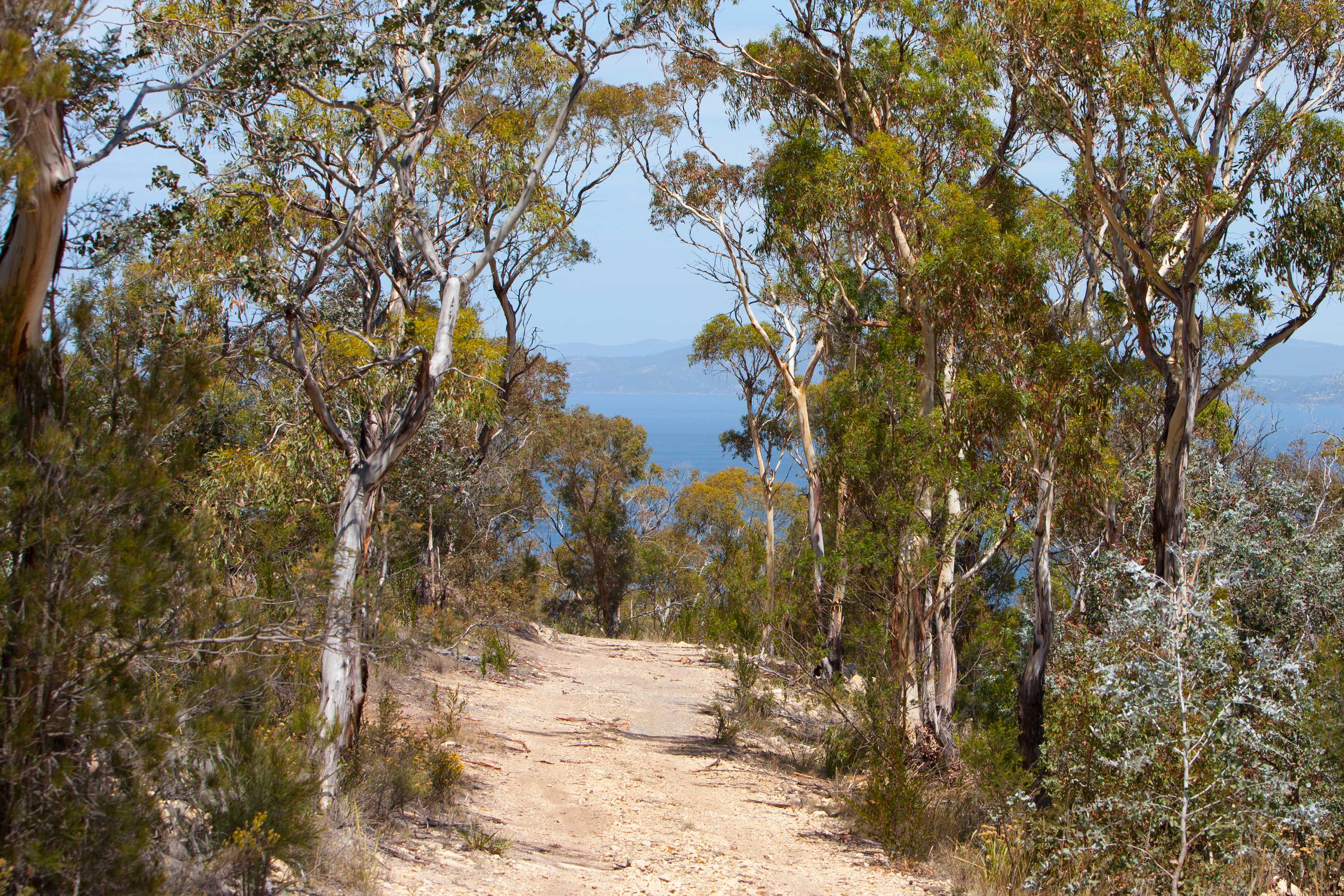 A spectacular location | Howrah Gardens Estate, Roybridge Way, Hobart ...